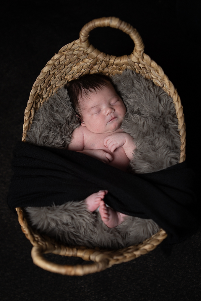 Family Roots Photography